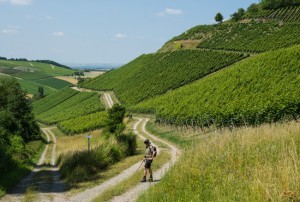 Fotoimpressionen Steigerwald Panoramaweg